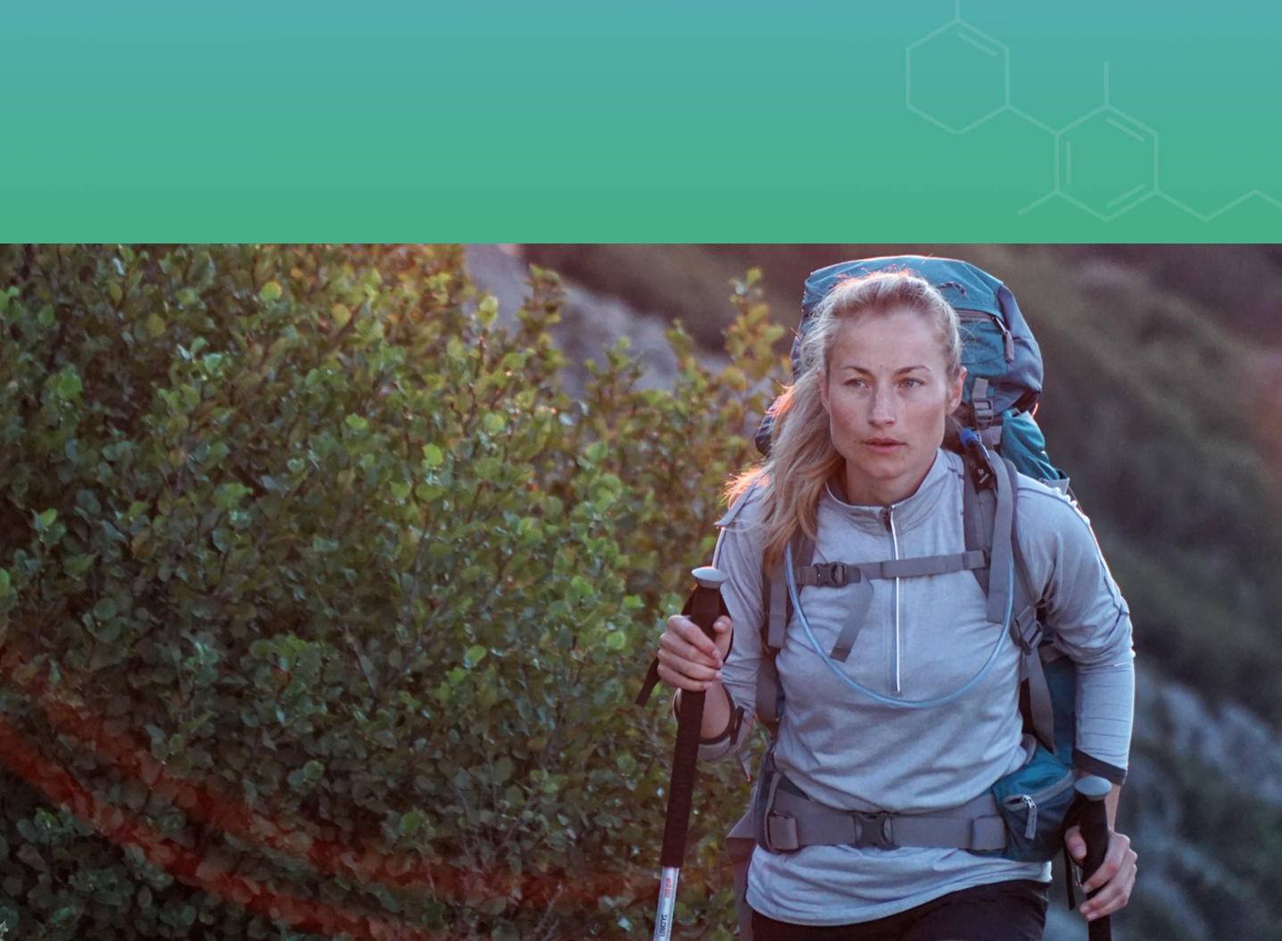 Ambary Gardens Quality Alternative Comfort Remedies